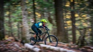 Salsa Timberjack Review: Pros and Cons ⋆ Mountain Bike Insider